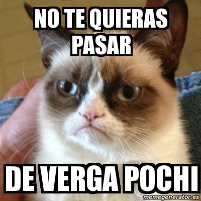 Meme Grumpy Cat - No te quieras pasar de verga pochi - 14502678