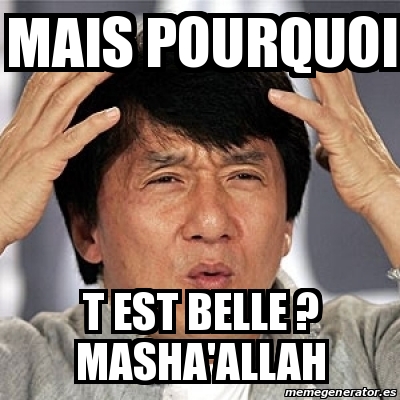 Mais Pourquoi Meme