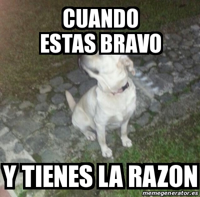 Meme Personalizado - Cuando estas bravo y tienes la razon - 14580581