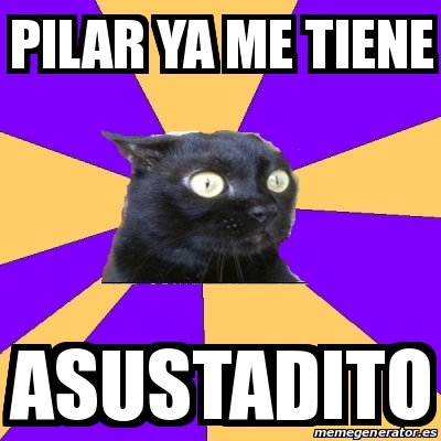 Meme Anxiety Cat - PILAR YA ME TIENE ASUSTADITO - 14608986