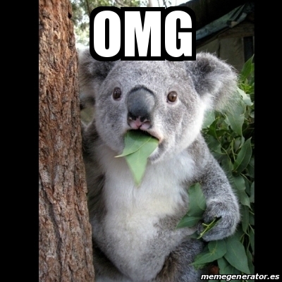 Meme Koala - omg - 14653818