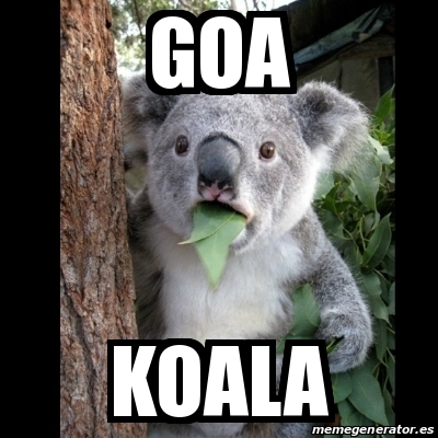 Meme Koala - GOA KOALA - 14654816