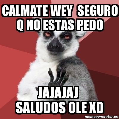 Meme Chill Out Lemur - calmate wey seguro q no estas pedo jajajaj ...