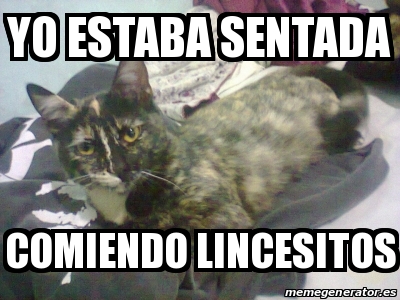 Meme Personalizado - yo estaba sentada comiendo lincesitos - 14762980