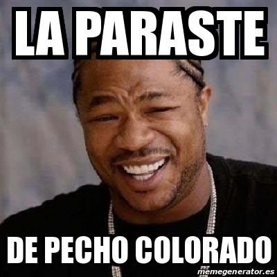 Meme Yo Dawg - la paraste de pecho colorado - 14795171