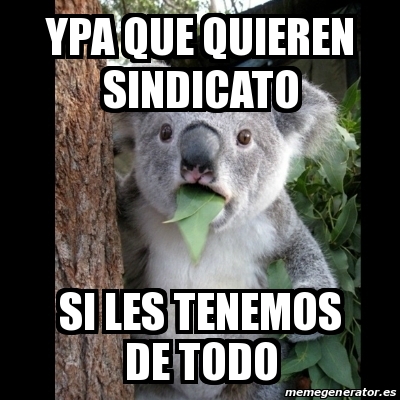Meme Koala - YPA QUE QUIEREN SINDICATO SI LES TENEMOS DE TODO - 14798178