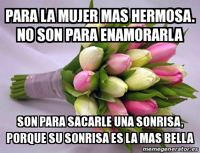 Meme Personalizado - Para la mujer mas hermosa. No son para enamorarla ...