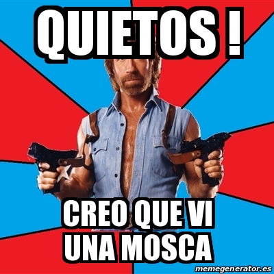 Meme Chuck Norris - quietos ! creo que vi una mosca - 14914156