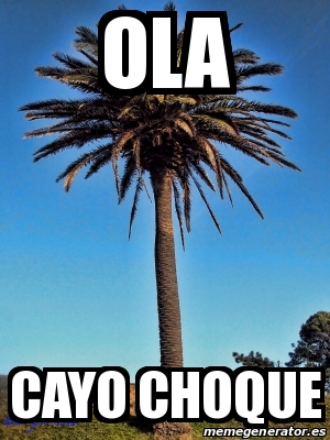 Meme Personalizado - Ola Cayo choque - 14934563