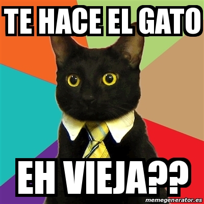 Meme Business Cat - te hace el gato eh vieja?? - 14949330