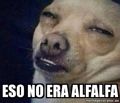 Meme Personalizado - eso no era alfalfa - 14960106