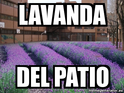Meme Personalizado - Lavanda del patio - 14961573