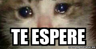 Meme Personalizado - te espere - 14994591