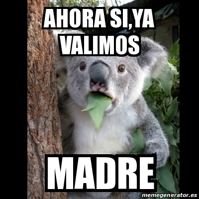 Meme Koala - Ahora si,ya valimos madre - 15008103