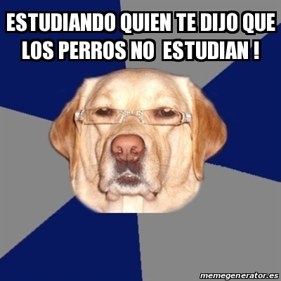 Meme Perro Racista - estudiando quien te dijo que los perros no ...