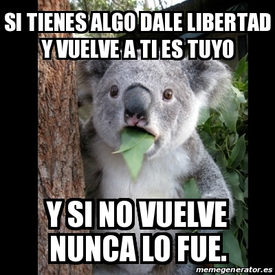 Meme Koala - SI TIENES ALGO DALE LIBERTAD Y VUELVE A TI ES TUYO Y SI NO ...