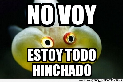 Meme Personalizado - No voy Estoy todo hInchado - 15192419