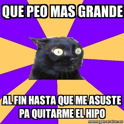 Meme Anxiety Cat - que peo mas grande al fin hasta que me asuste pa ...