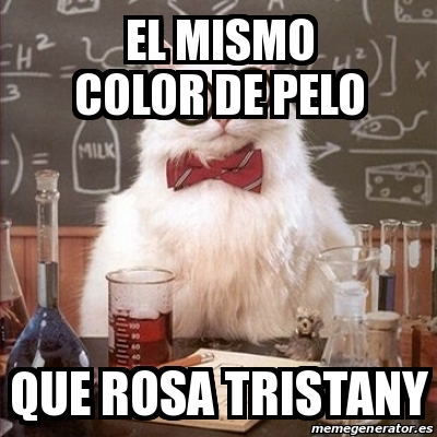 Meme Chemistry Cat - EL MISMO COLOR DE PELO QUE ROSA TRISTANY - 15208886