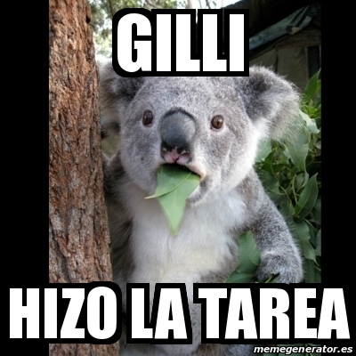 Meme Koala - gilli hizo la tarea - 15724373