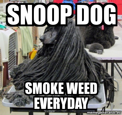 Meme Personalizado - snoop dog smoke weed everyday - 15743146
