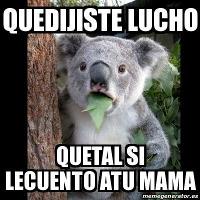 Meme Koala - quedijiste lucho quetal si lecuento atu mama - 15916678