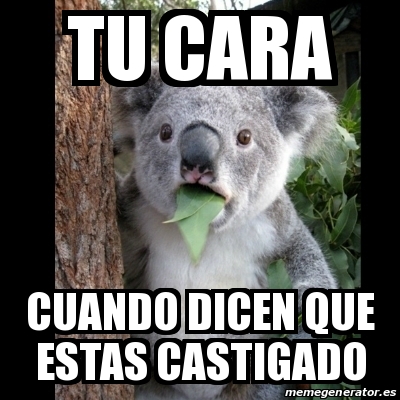 Meme Koala - tu cara cuando dicen que estas castigado - 15956426