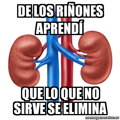 Meme Personalizado - de los riÃ±ones aprendÃ­ que lo que no sirve se ...