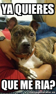 Meme Personalizado - Ya quieres Que me ria? - 16169404