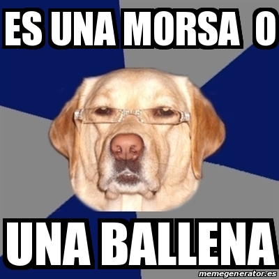 Meme Perro Racista - es una morsa o una ballena - 16308593