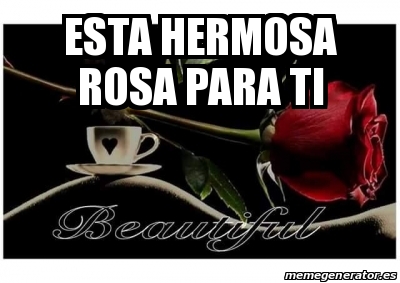 Meme Personalizado - esta hermosa rosa para ti - 16314444