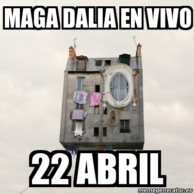 Meme Personalizado - maga dalia en vivo 22 abril - 16319626