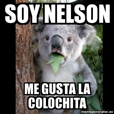 Meme Koala - soy nelson me gusta la colochita - 16352712