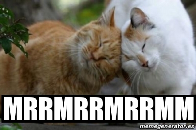 Meme Personalizado - mrrmrrmrrmm - 16352861