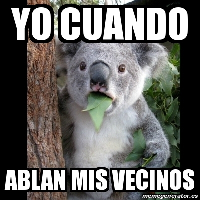 Meme Koala - yo cuando ablan mis vecinos - 16361681