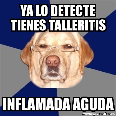 Meme Perro Racista - ya lo detecte tienes talleritis inflamada aguda ...