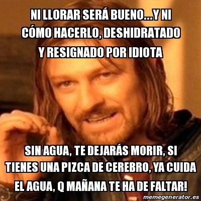 Meme Boromir - ni llorar serÃ¡ bueno...y ni cÃ³mo hacerlo, deshidratado ...
