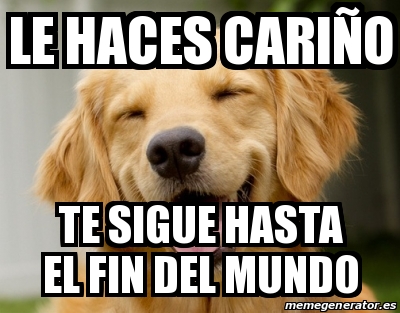 Meme Personalizado - Le haces cariÃ±o te sigue hasta el fin del mundo ...