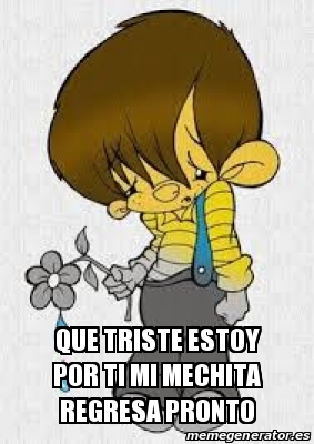 Meme Personalizado - que triste estoy por ti mi mechita regresa pronto ...