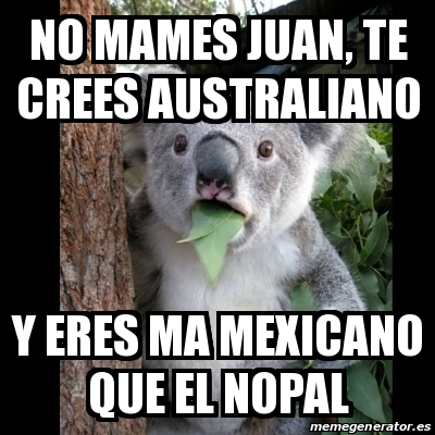 Meme Koala - no mames Juan, te crees australiano y eres ma mexicano que ...