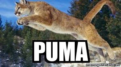 Meme Personalizado - puma - 16626625