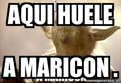 Meme Personalizado - AQUI HUELE A MARICON . - 16744362