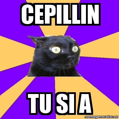 Meme Anxiety Cat - cepillin tu si a - 16766363