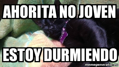 Meme Personalizado - ahorita no joven estoy durmiendo - 16789633