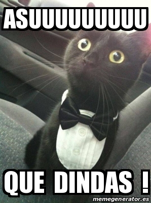 Meme Personalizado - ASUUUUUUUUU QUE DINDAS ! - 16804057