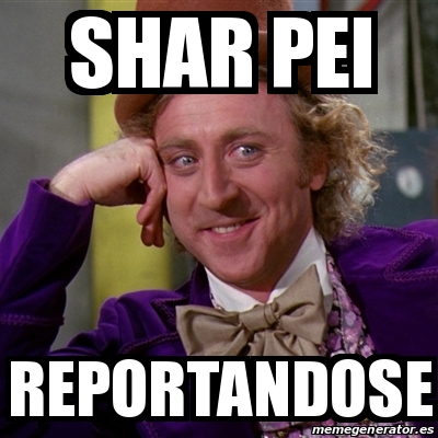 Meme Willy Wonka - SHAR PEI reportandose - 16811016