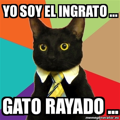 Meme Business Cat - YO SOY EL INGRATO ... GATO RAYADO ... - 16858150