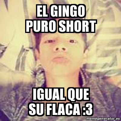 Meme Personalizado - el gingo puro short igual que su flaca :3 - 16877440