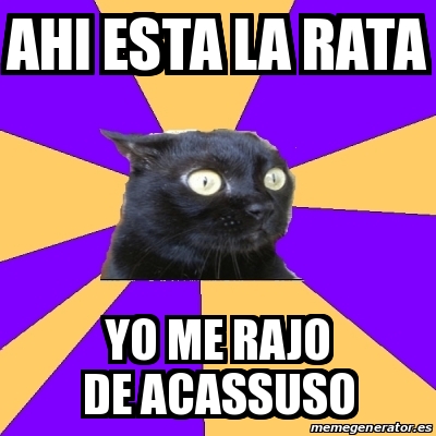 Meme Anxiety Cat - ahi esta la rata yo me rajo de acassuso - 16090457