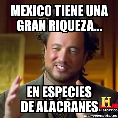 Memes Alacranes Con El Calor, Volvió El Alerta Por La Aparición De
